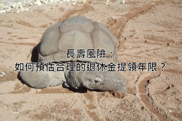 退休最怕遇到股市大跌？用「這招」預判風險，提領計畫不再失敗！Retirement vs. Market Crashes: The One ...